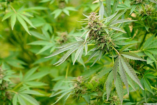Washington to Start Selling Pot in June - TheStreet