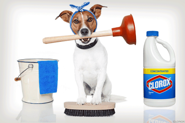 Toilet Bowl Cleaners Explain Everything About Clorox's Stunning Fourth ...