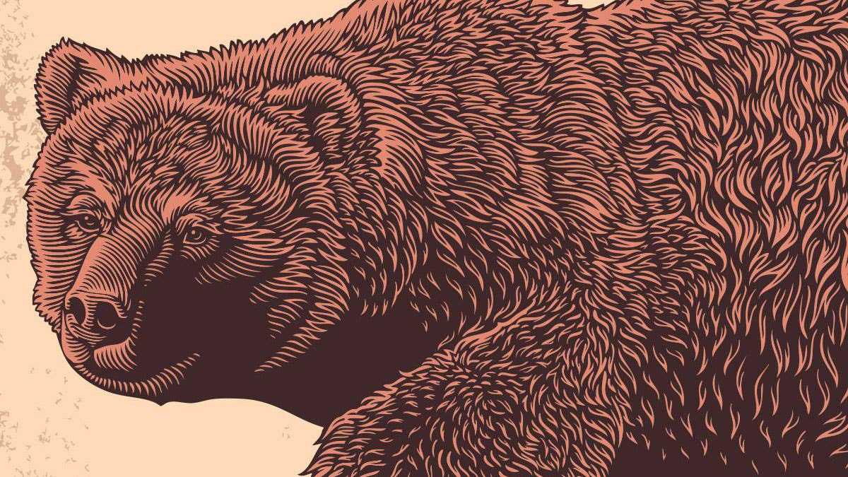 How Long Does the Average Bear Market Last? - TheStreet