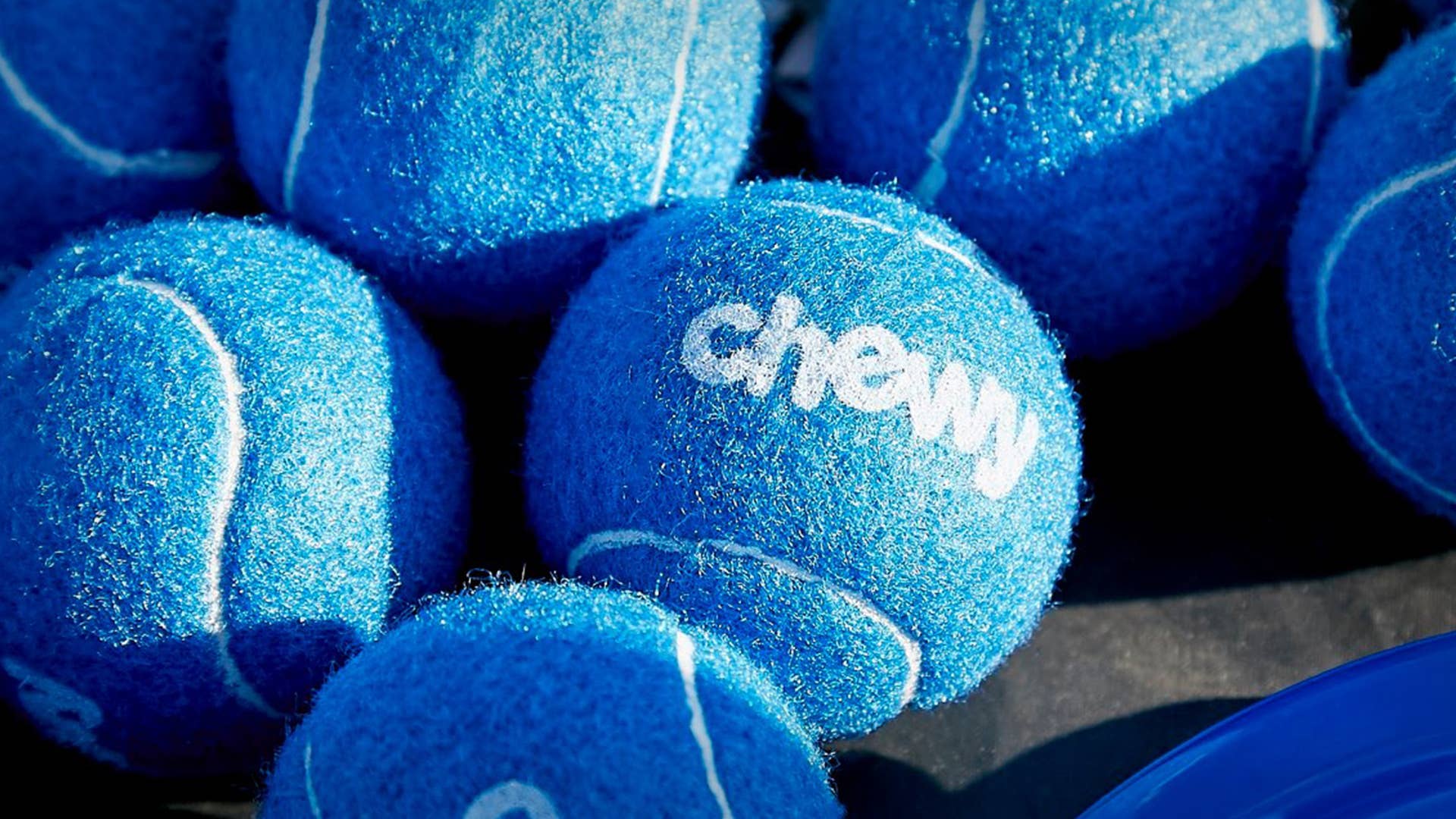 Chewy is selling $110 litter box furniture for $74 - TheStreet