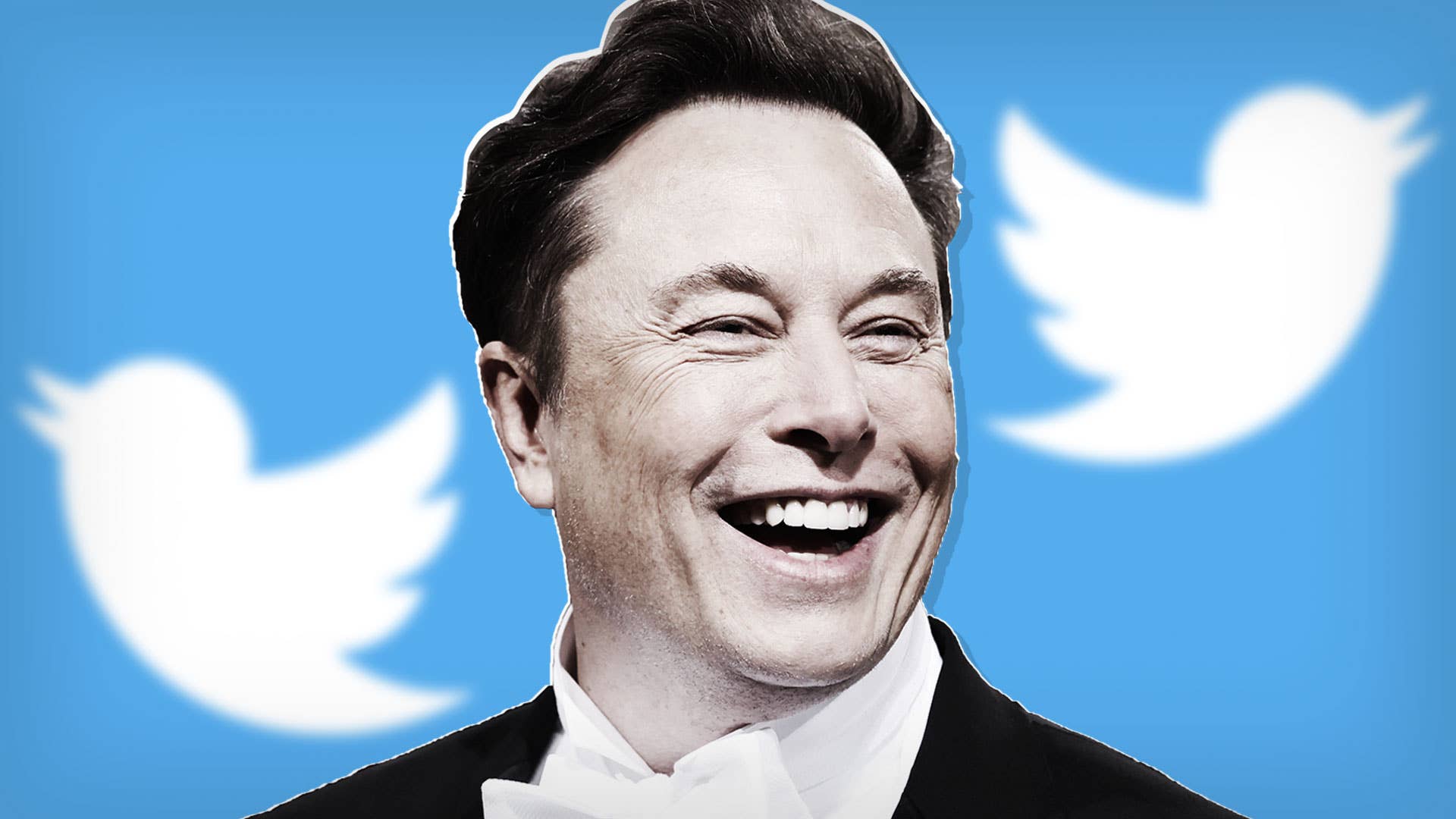 Twitter Stock Plunges As Musk Says $44 Billion Takeover 'On Hold ...