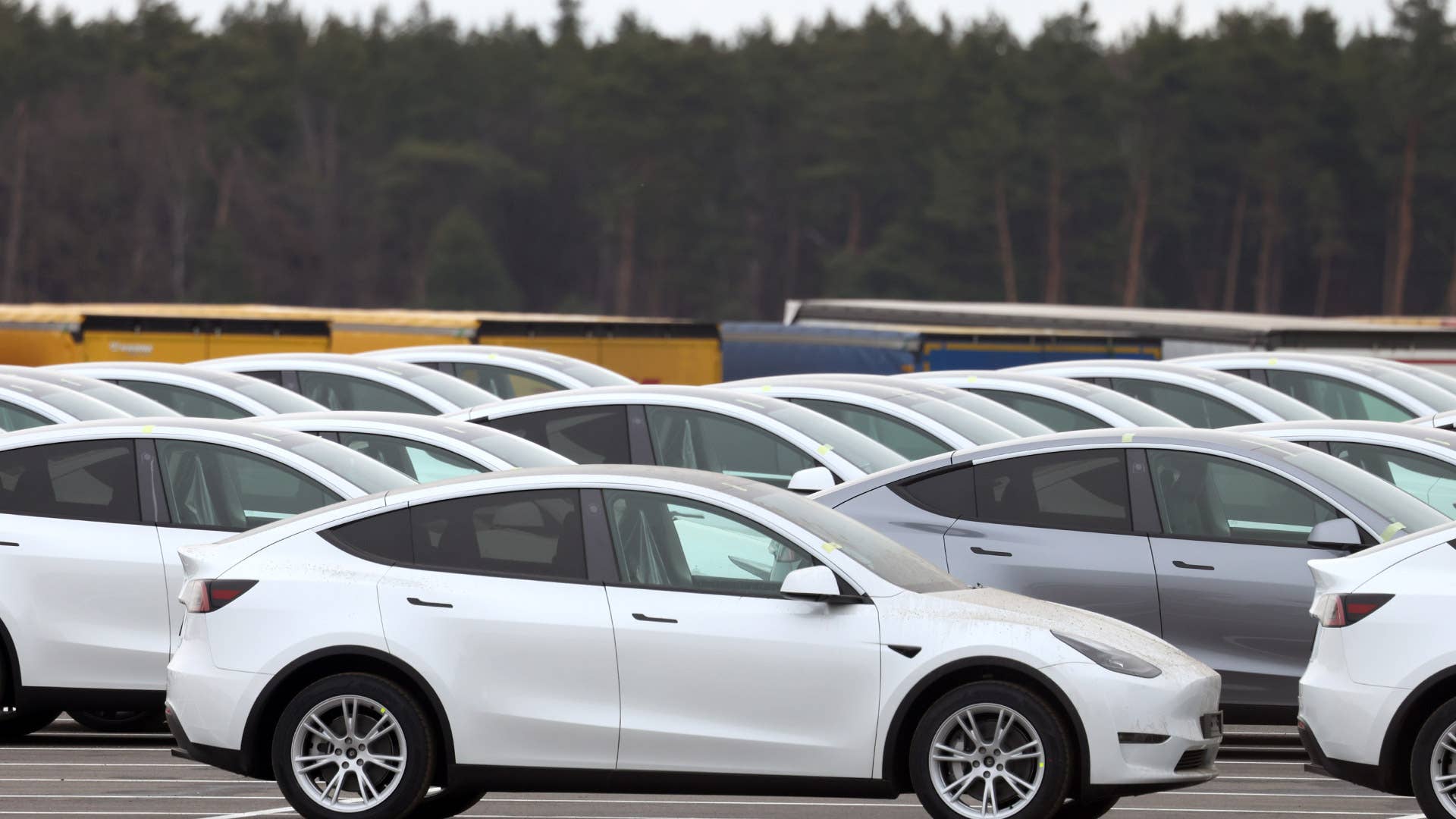 Tough Tesla test awaits just confirmed US auto regulator - TheStreet