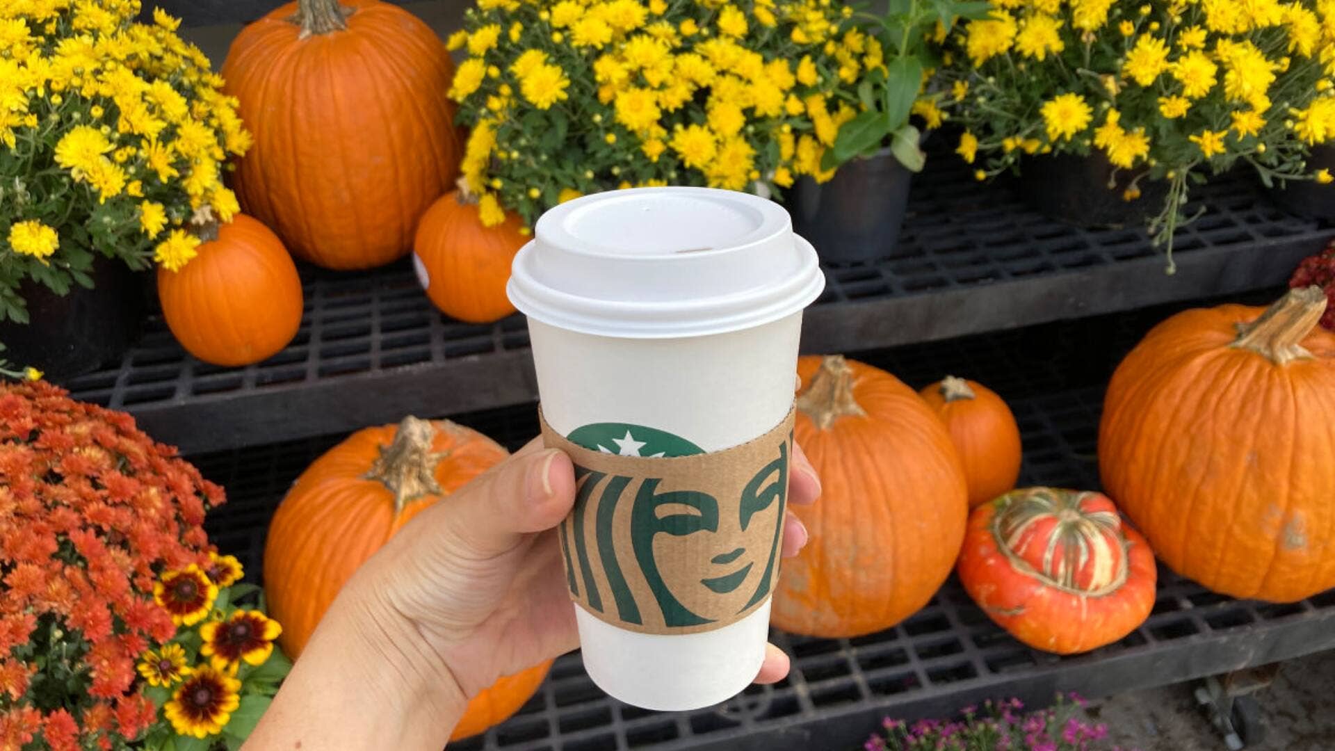 Dairy Queen shares new fall menu that goes beyond pumpkin - TheStreet