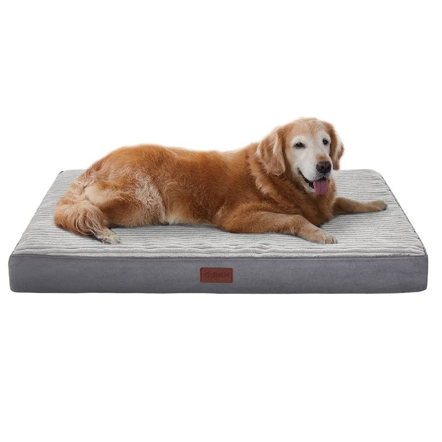 Walmart is selling a $47 orthopedic dog bed for $18 - TheStreet