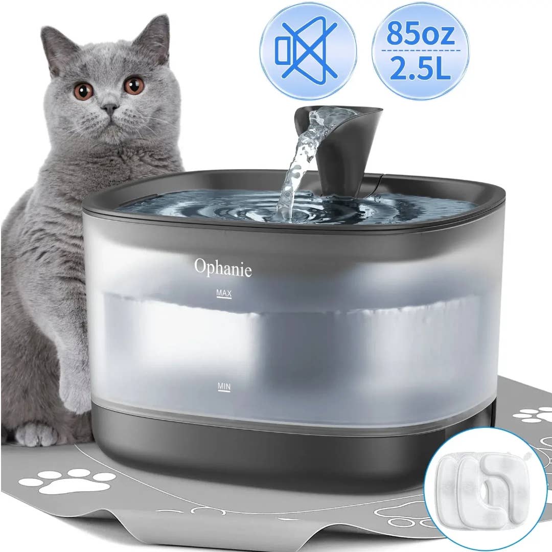 Walmart is selling a $40 cat water fountain for $20 - TheStreet