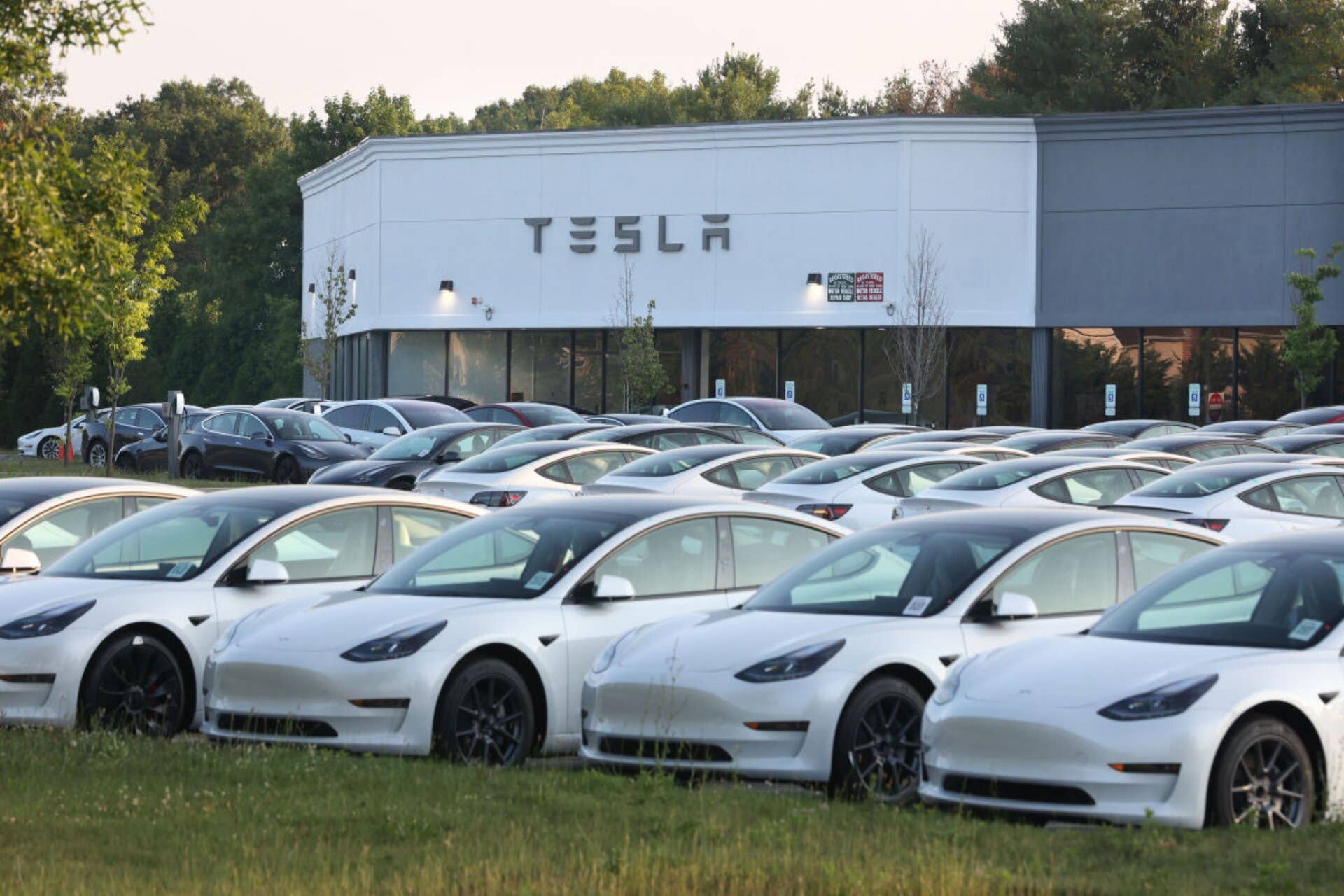 Tesla German Gigafactory defies odds (and reality) with latest move ...