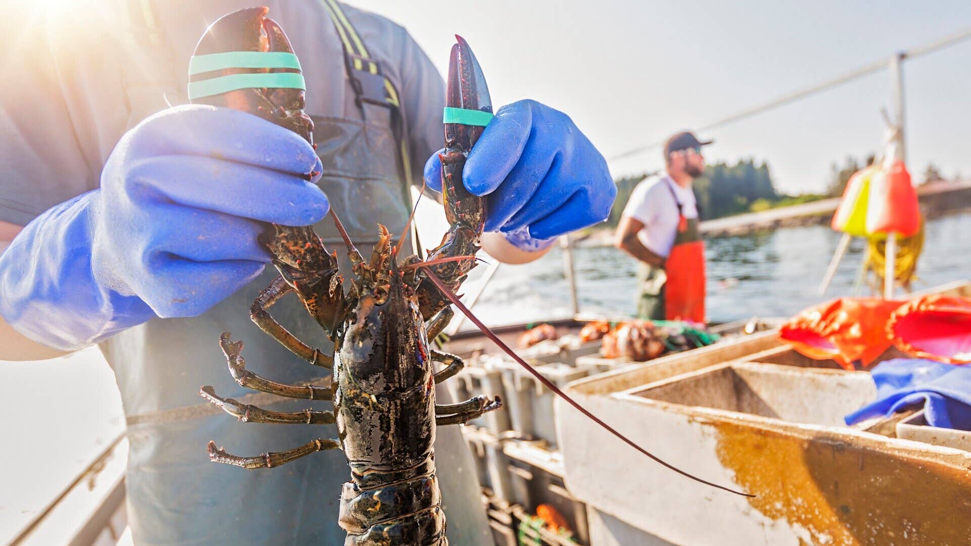 Iconic New England seafood brand files Chapter 11 bankruptcy - TheStreet
