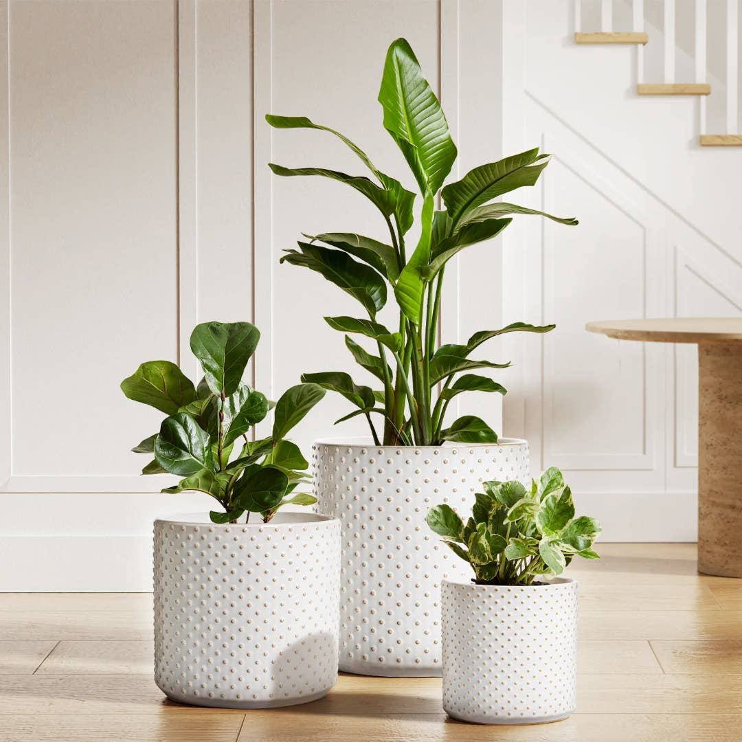 Walmart is selling a $100 set of 3 ceramic planters for $66 - TheStreet