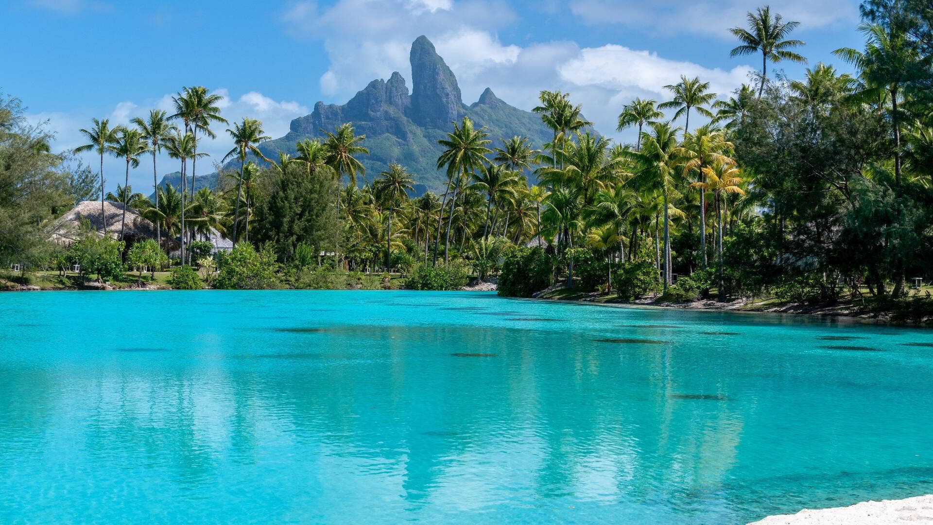‘Exciting beach’ travel trend: Why it’s going viral for 2026 - TheStreet