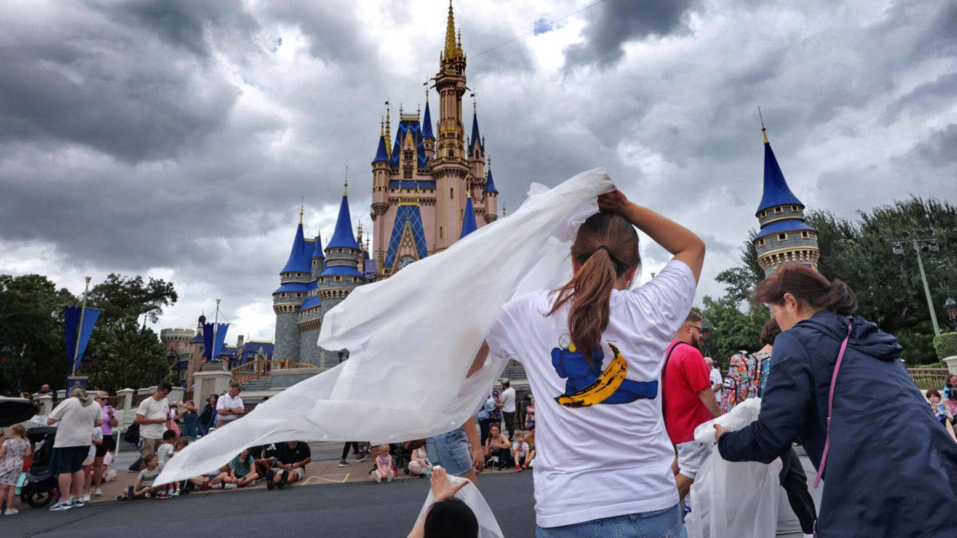 Disney clarifies rules for major theme park service after abuse - TheStreet