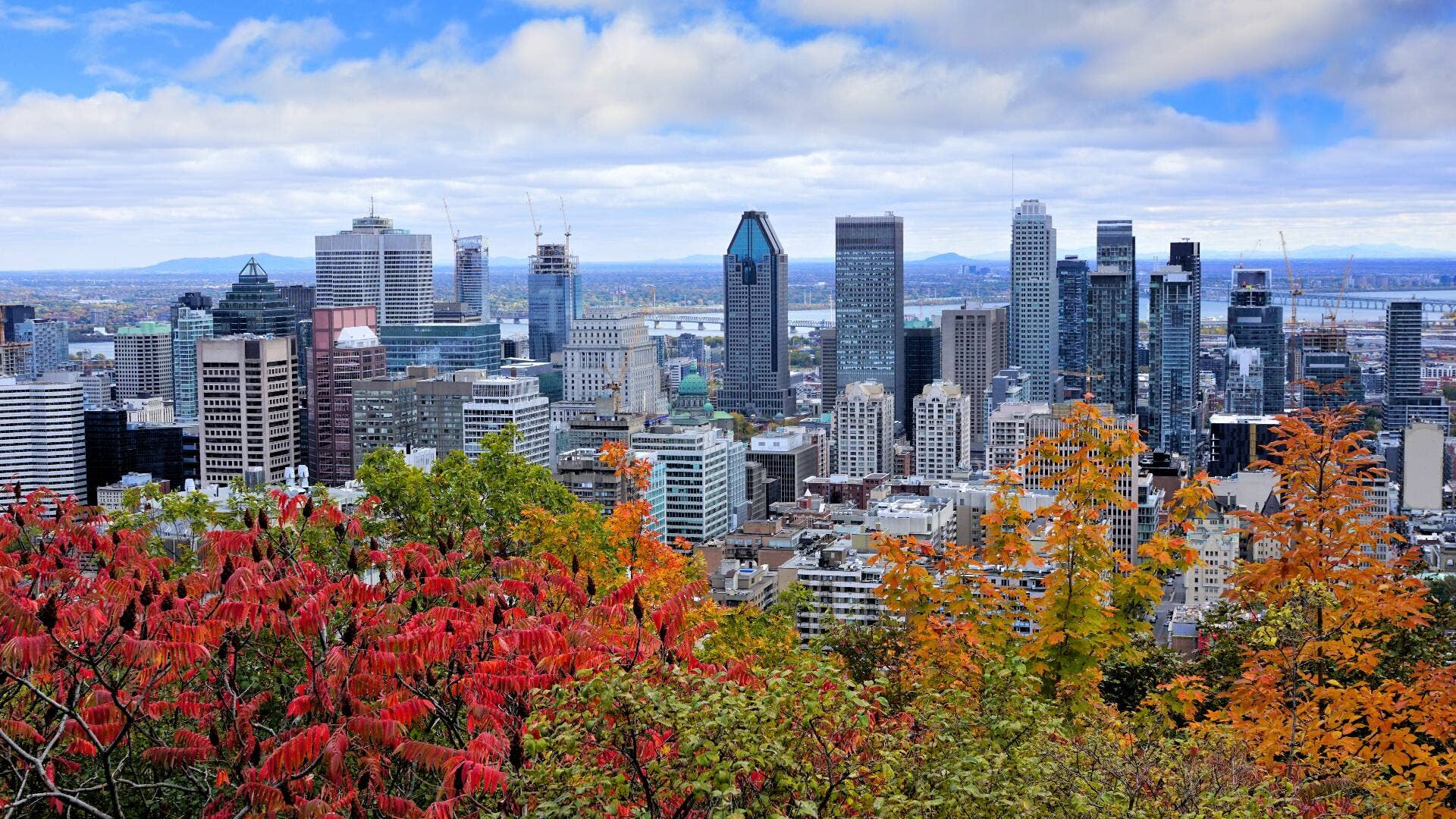 Despite Trump, Delta makes big bet on Canadian travel - TheStreet