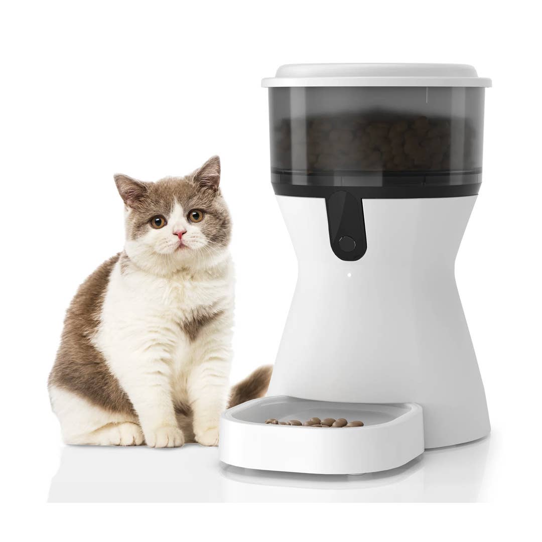 Walmart is selling a $100 automatic pet feeder for only $50 - TheStreet