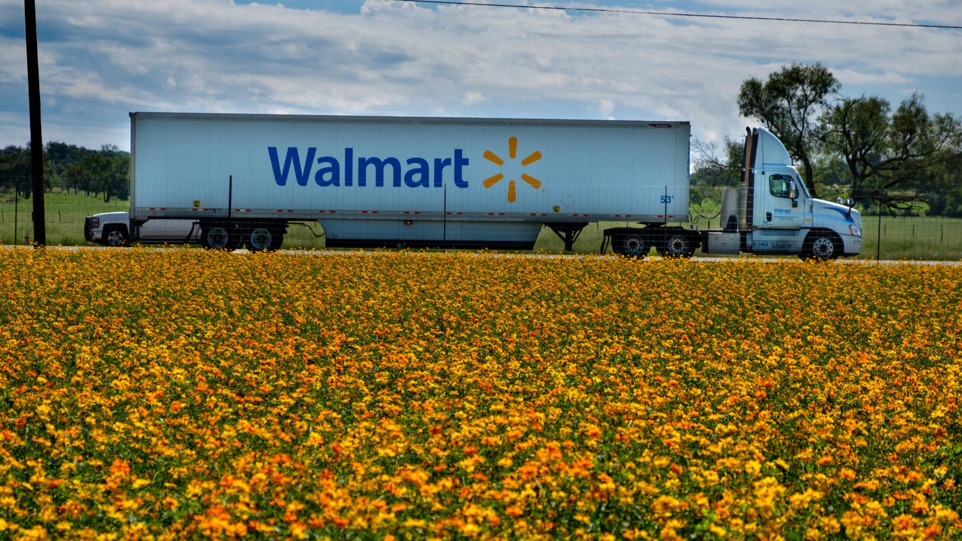Walmart is selling a $100 cookware set for $56 - TheStreet