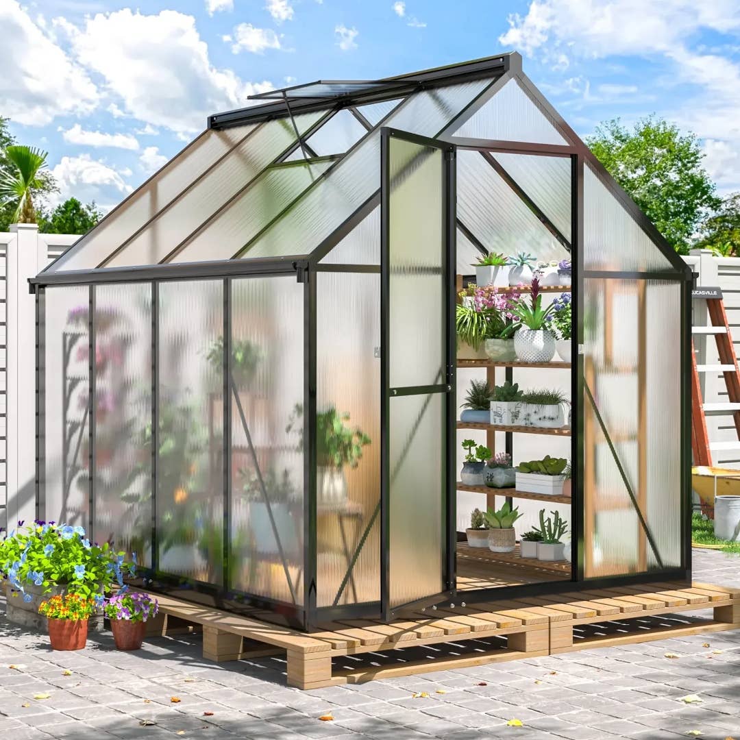 Walmart is selling a $500 outdoor greenhouse for $290 - TheStreet