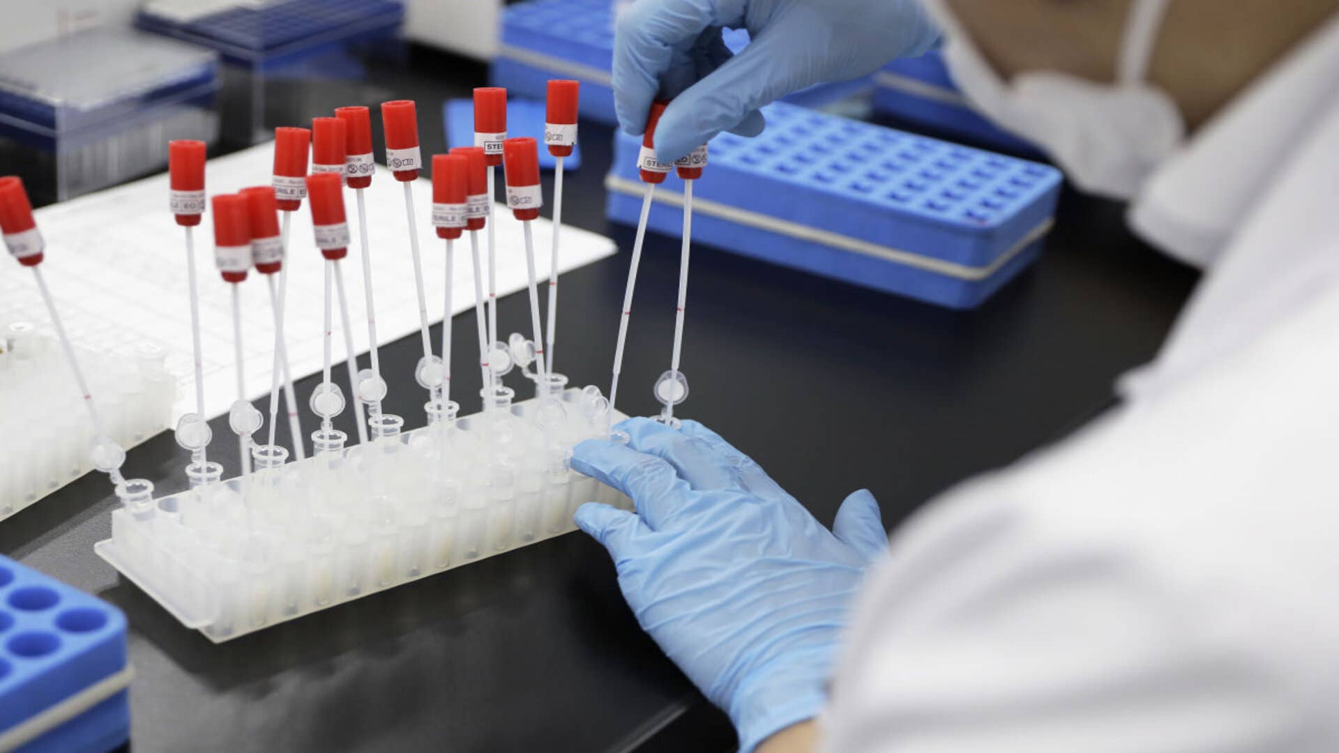 23andMe bankruptcy sale hits snag over sensitive data lawsuit - TheStreet