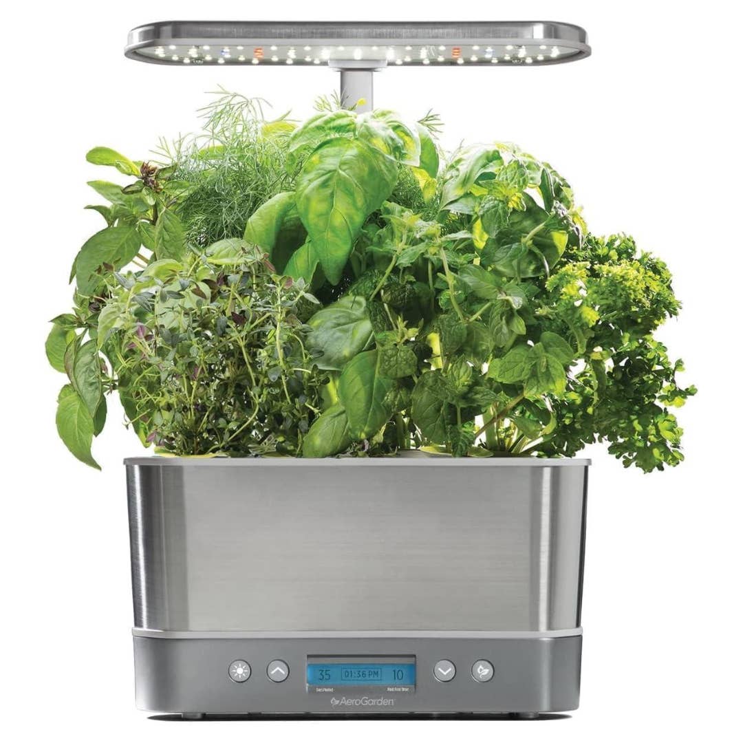 Amazon is selling a $120 indoor garden system for only $60 - TheStreet