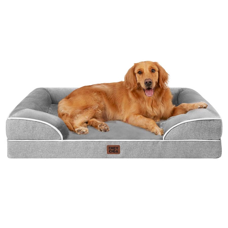 Amazon is selling a $50 dog bed for $40 - TheStreet