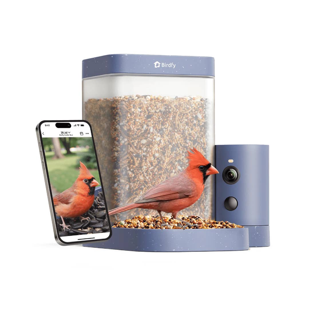 Walmart is selling a smart bird feeder with camera for $100 - TheStreet
