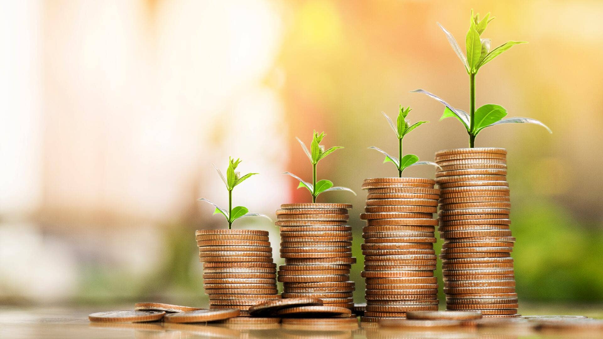 Energy Transfer stands out as a high-yield dividend stock | ET - TheStreet