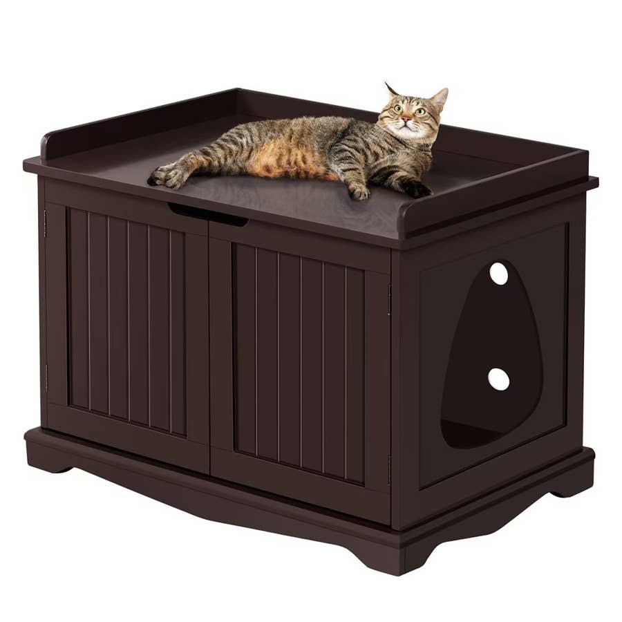 Chewy is selling $110 litter box furniture for $74 - TheStreet