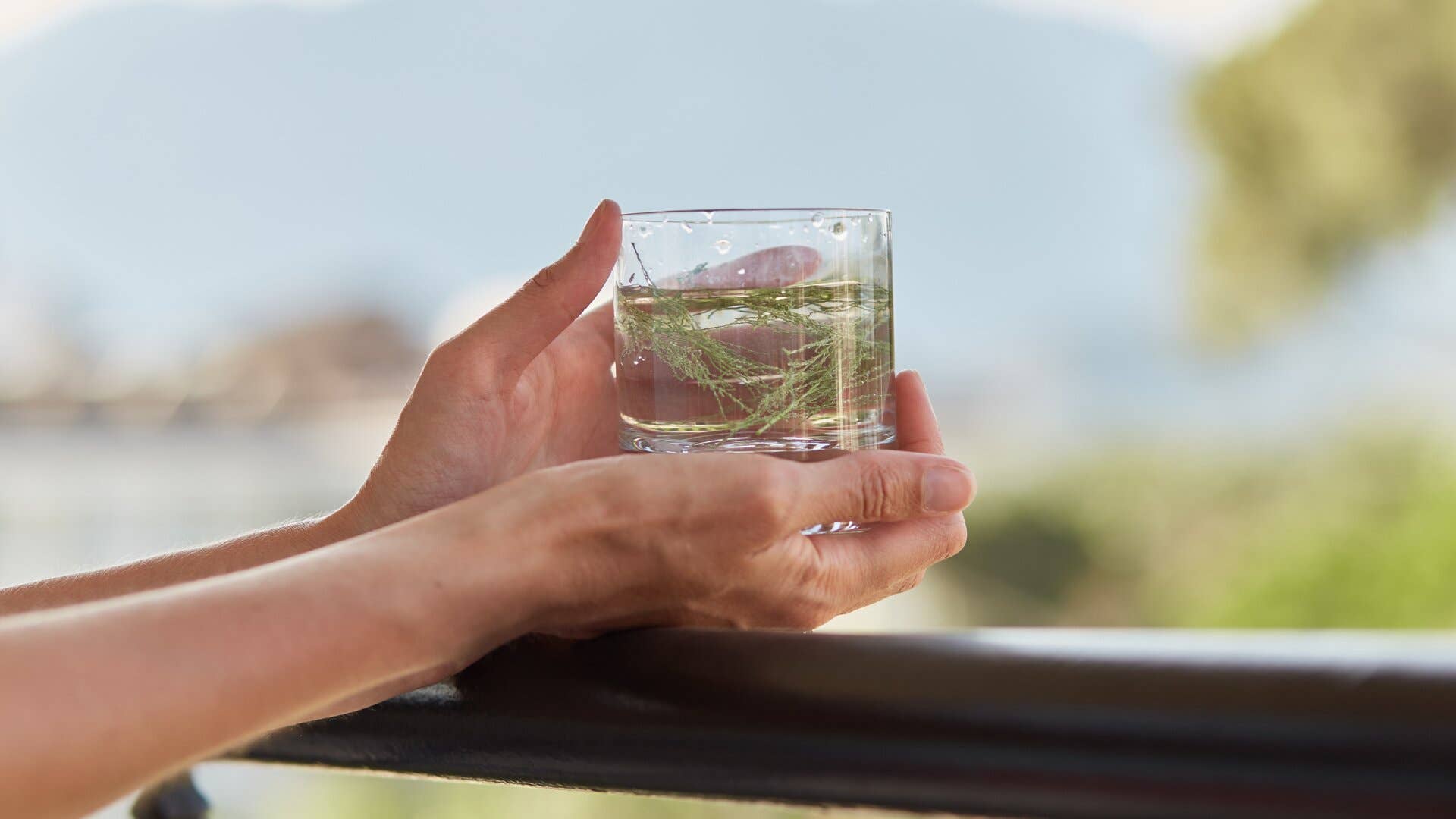 Award-winning hard seltzer company forced into receivership - TheStreet