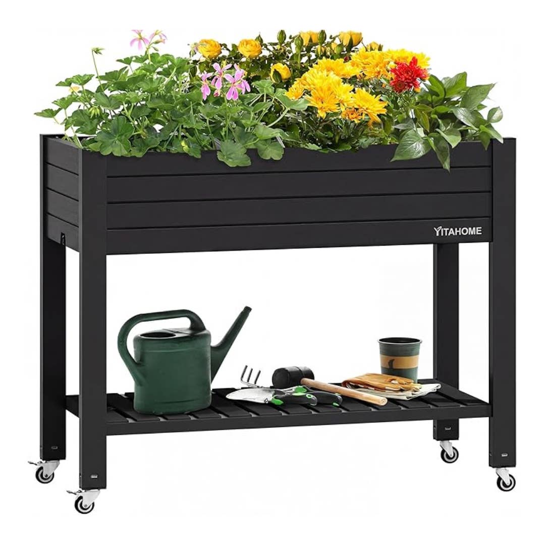 Amazon is selling a $120 garden bed for $81 - TheStreet