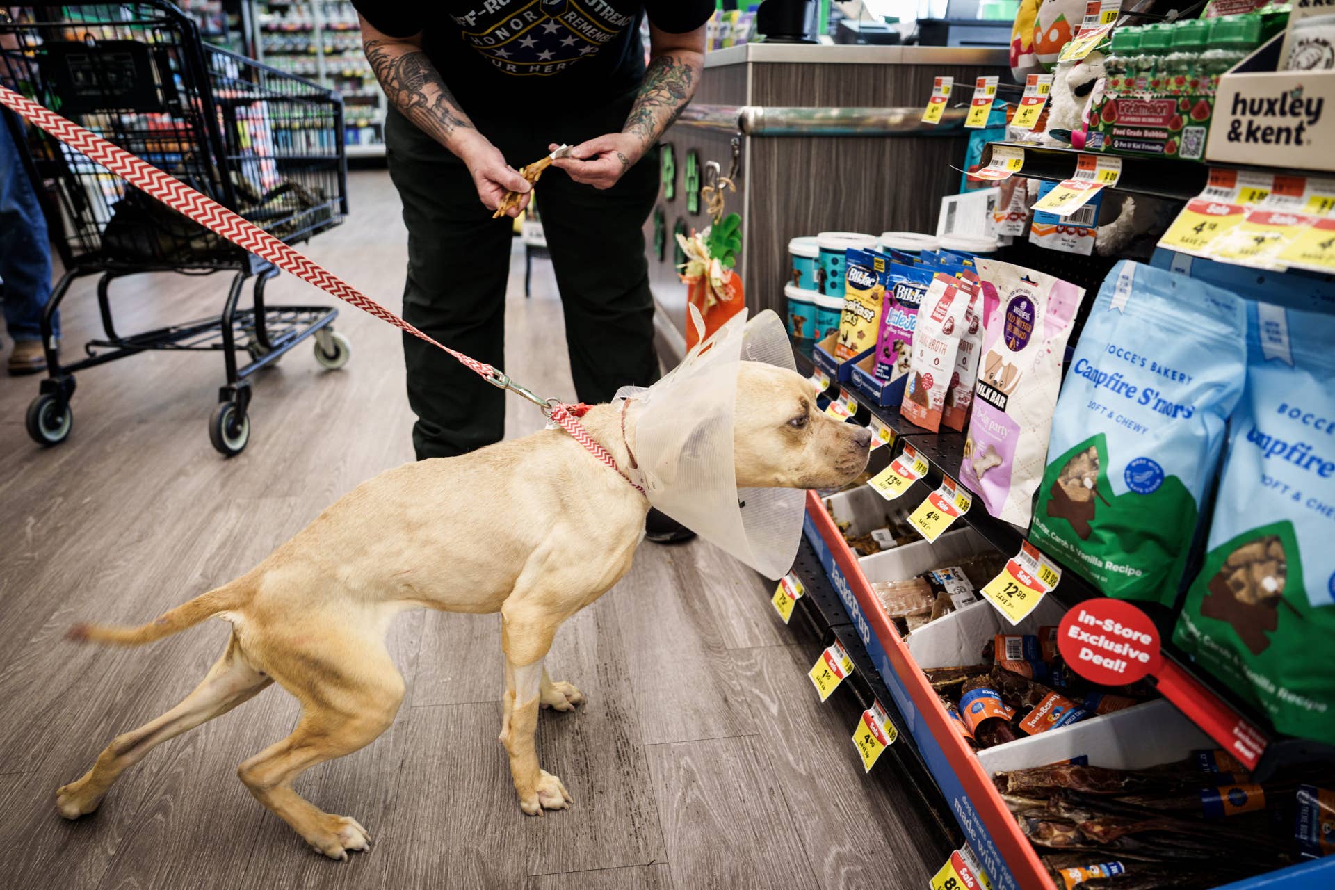 Major pet supplies store operator files Chapter 11 bankruptcy - TheStreet
