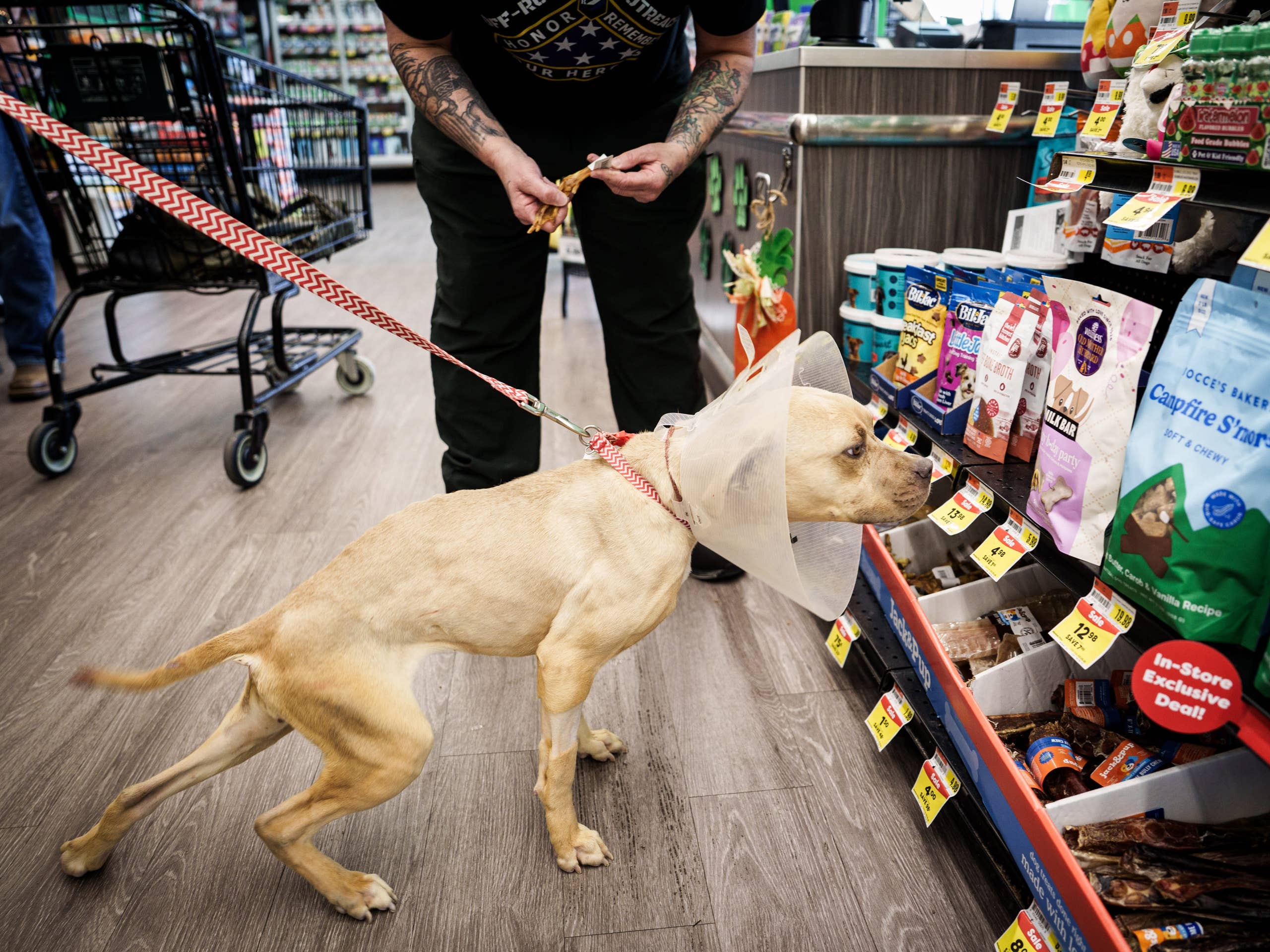 Major pet supplies store operator files Chapter 11 bankruptcy - TheStreet