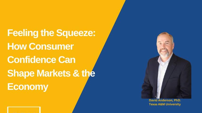 Feeling the Squeeze: How Consumer Confidence can Shape Markets and the ...
