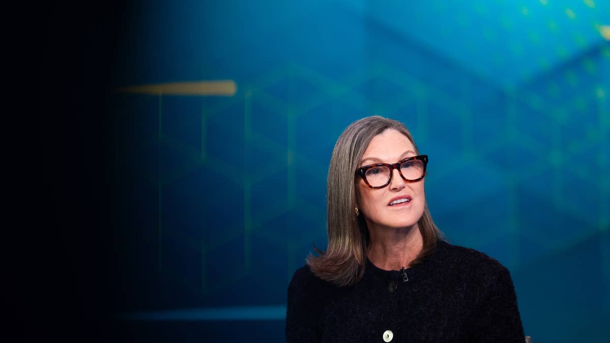 A Cathie Wood tech stock still down 73% from all-time highs | ROKU ...