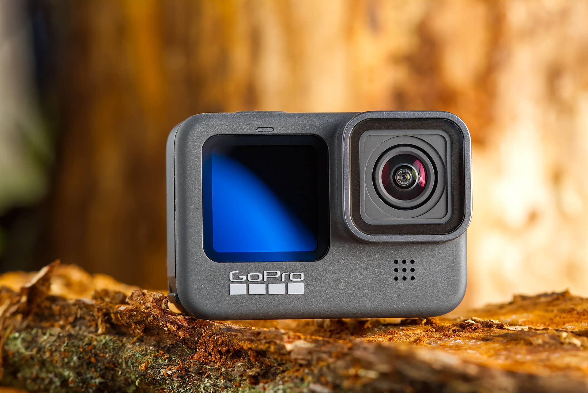 GoPro: A small-cap camera maker could file for bankruptcy | GPRO ...