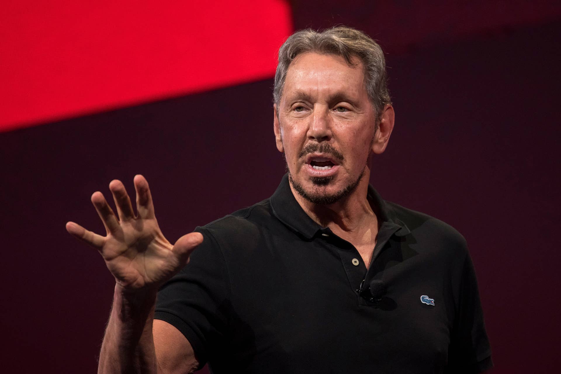 Oracle suffers its roughest session in months ahead of earnings - TheStreet