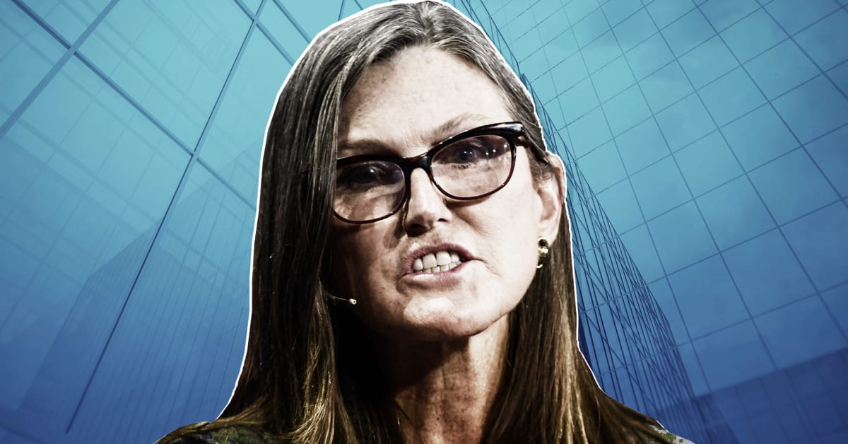 Cathie Wood buys $2.7M surging China tech stock after tariff talks ...