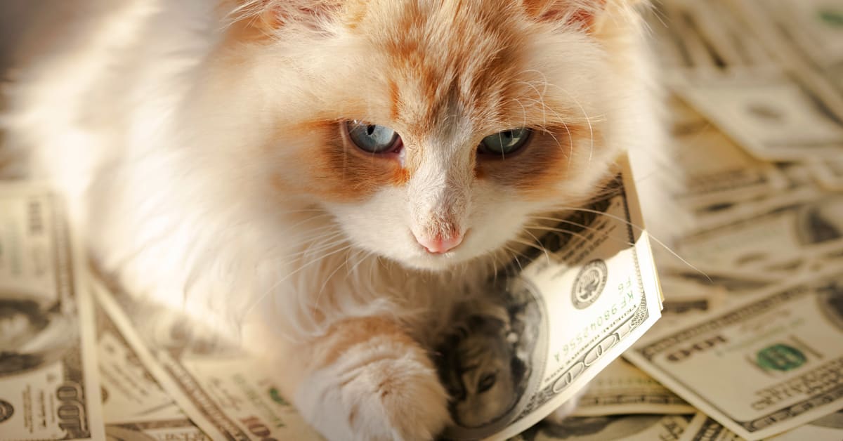 Popular pet and garden chain closing all locations, no bankruptcy ...