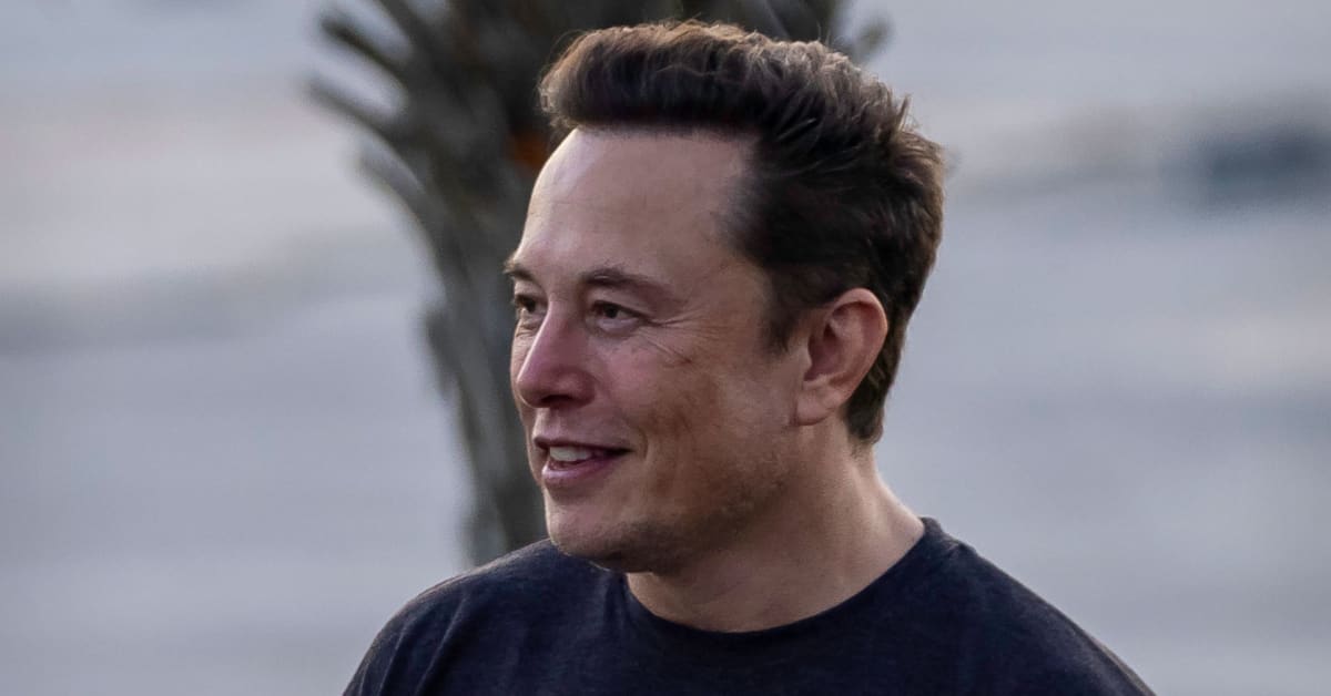 Elon Musk receives strong message on Social Security, Medicare - TheStreet