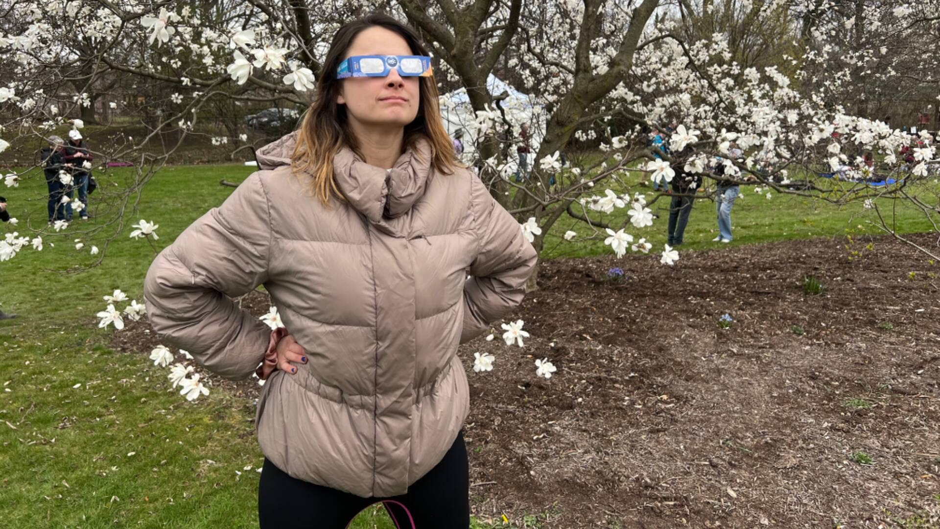 This is how crazy Buffalo got during the eclipse - TheStreet