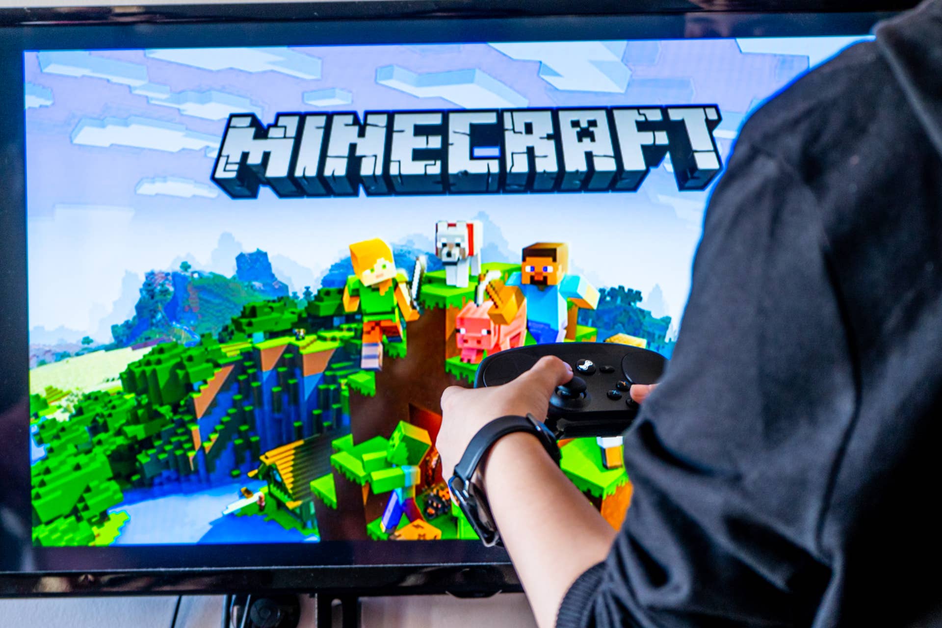 Minecraft no longer has bitcoin payments - TheStreet Crypto: Bitcoin ...