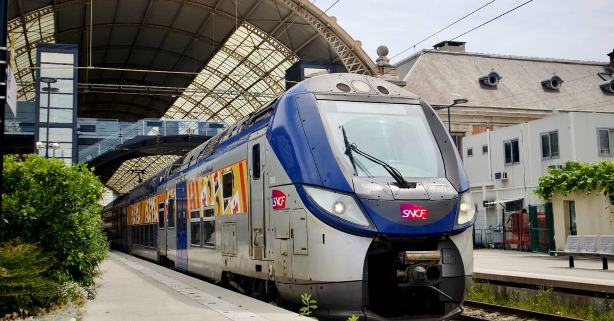 Several countries issue travel warnings for France amid protests ...