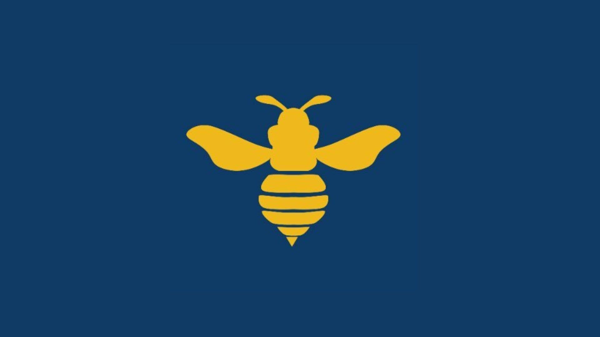 Hive Digital - TheStreet Crypto: Bitcoin and cryptocurrency news ...