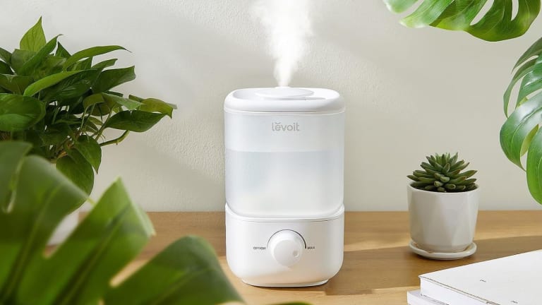 This Levoit humidifier is only $30 right now at Amazon - TheStreet
