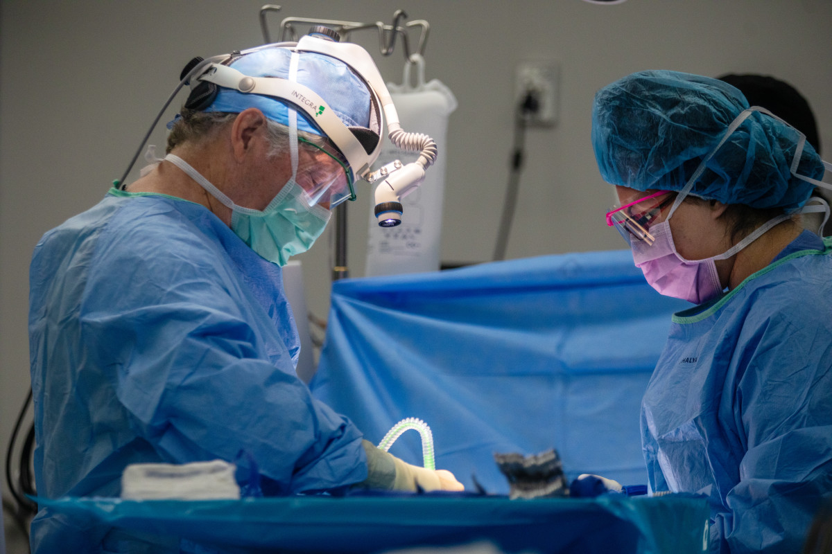 Wellpath Holdings files for Chapter 11 bankruptcy to restructure amid ...