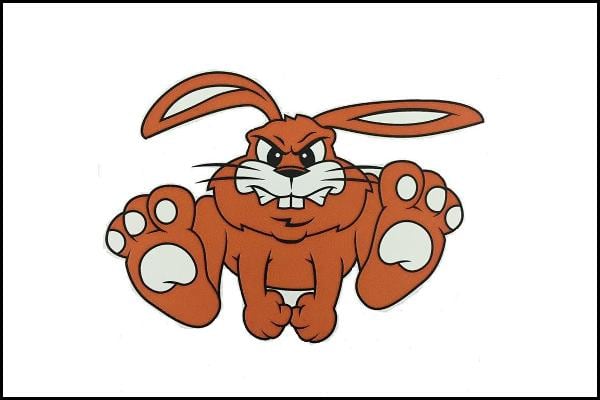 Quirky but Proud: 30 Unusual High School Mascots - TheStreet