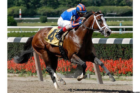 The 10 Most Expensive Racehorses Ever Sold At Auction - TheStreet
