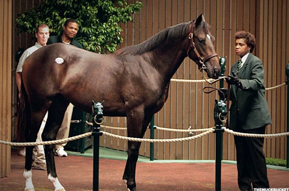 The 10 Most Expensive Racehorses Ever Sold At Auction - TheStreet