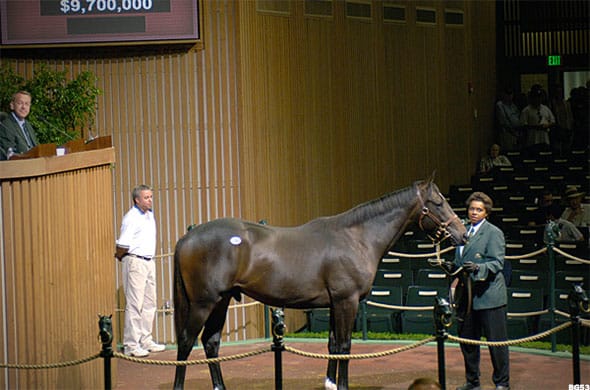 The 10 Most Expensive Racehorses Ever Sold At Auction - TheStreet