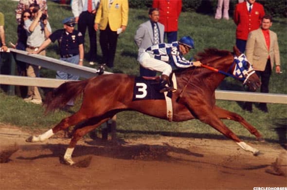 Triple Crown Winners: The 11 Best Race Horses of All Time - TheStreet
