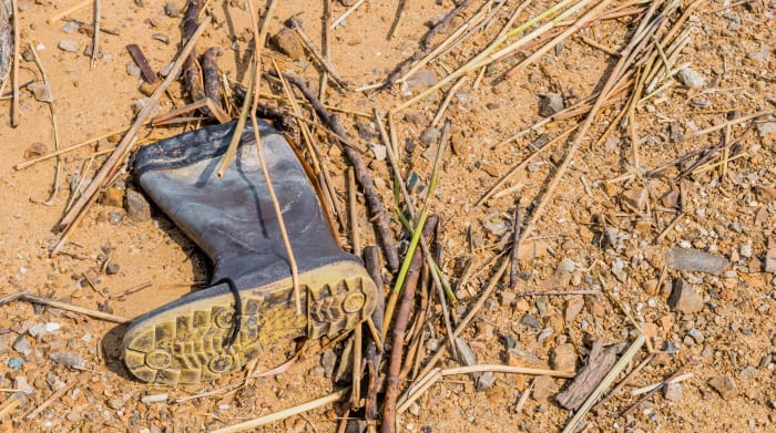 How Long It Takes for These Common Items to Decompose - TheStreet