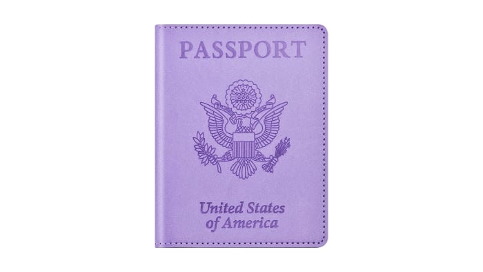 One city held a mass passport-getting event - TheStreet