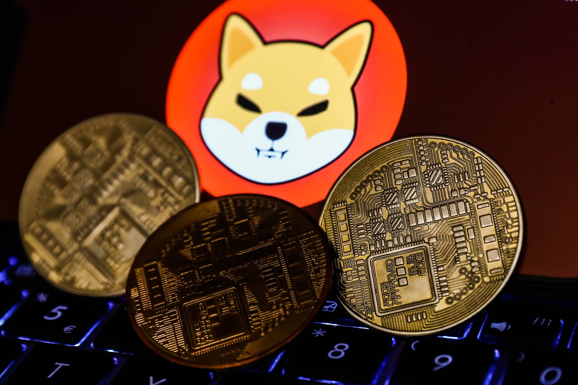 Shiba Inu community wants SHIB to be featured in Trump’s crypto reserve ...