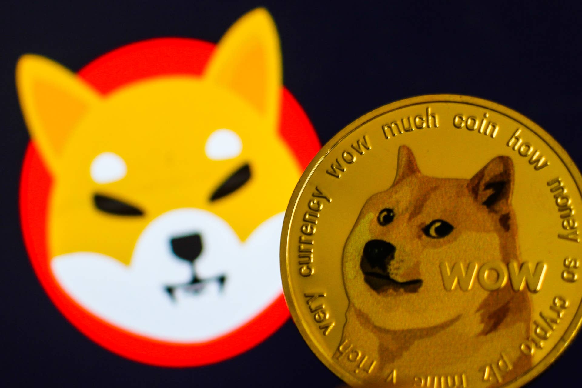 Shiba Inu burn rate explodes over 57,000% as whale burns 2 billion ...